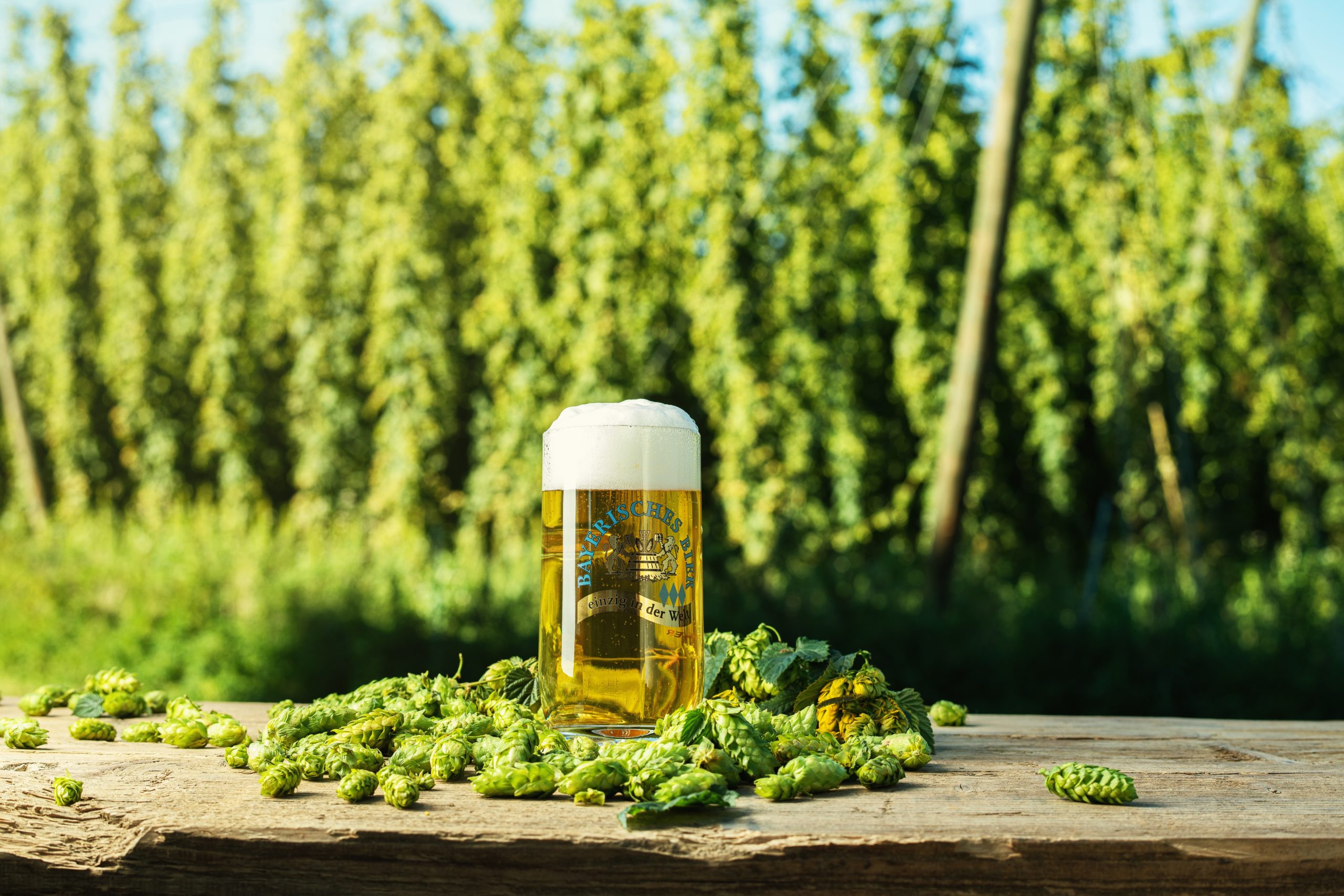 "Bayerns Biervielfalt" - Bayerisches Bier